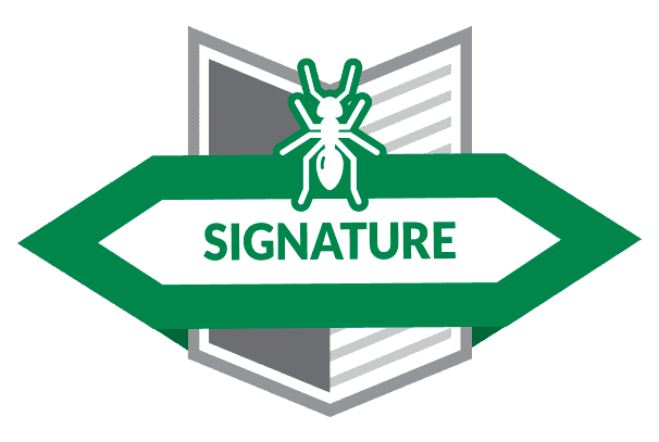 Pest Control In Katy & Houston TX | Modern Pest Control