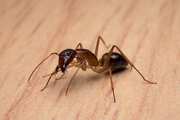 Blog - Why It's Important to Consult Professionals When Dealing With ...