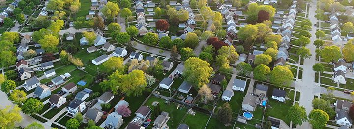 Katy Tx Pest Control | Modern Pest Control